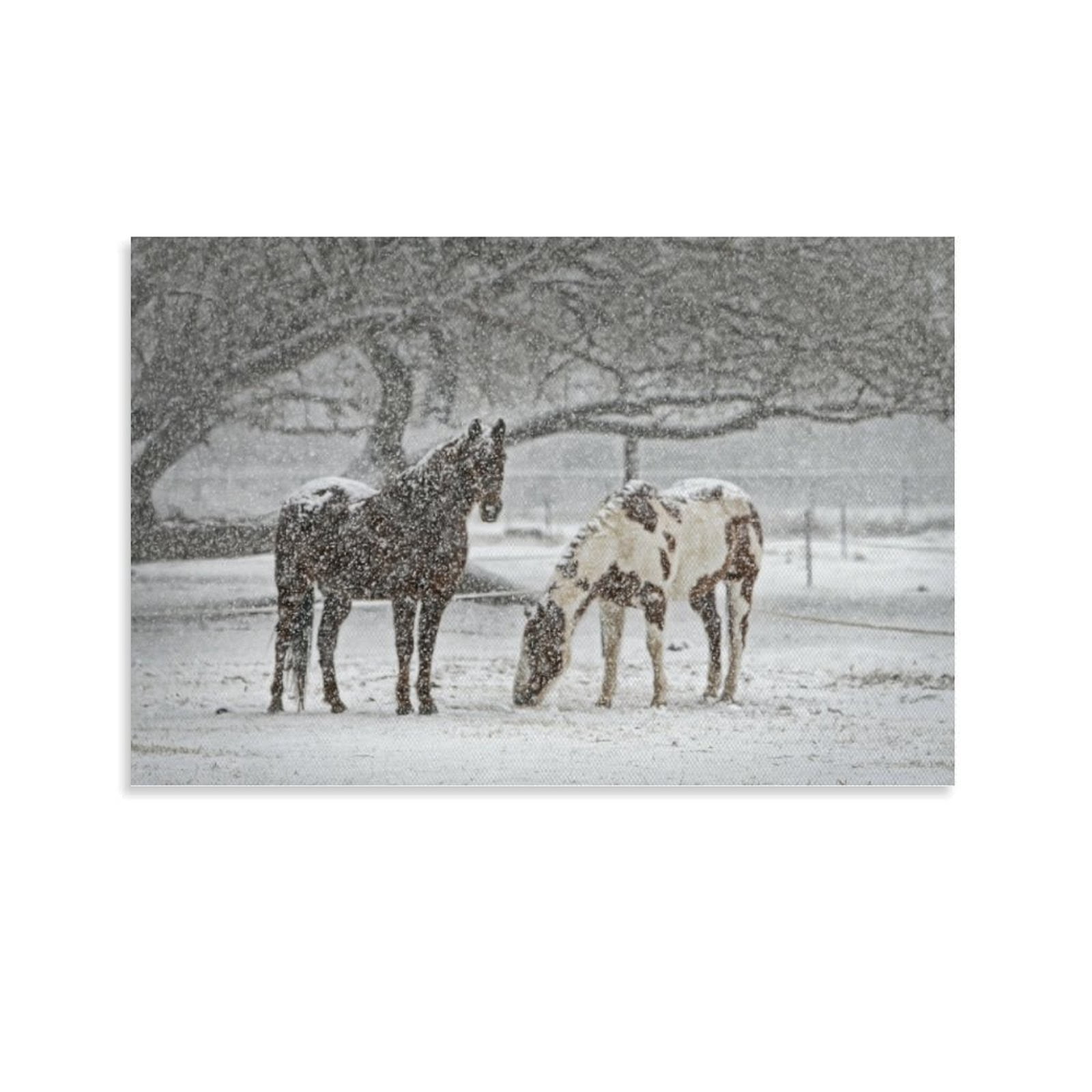 Horse Under The Snow Canvas Art Poster And Wall Art Picture Print ...