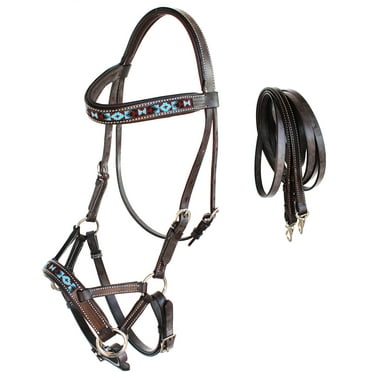 Horse Leather Turquoise Buckstitch Headstall w/ Barrel Reins 78AD11HB ...