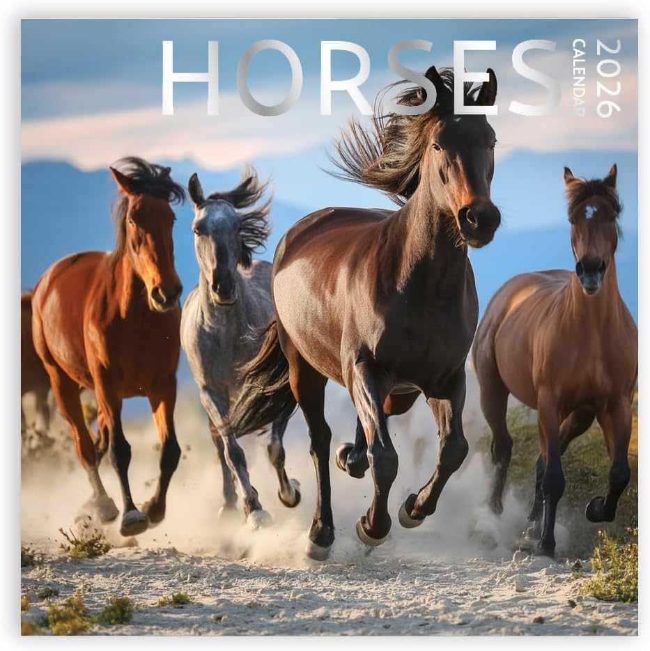Horses Calendar 2026, Large 12 x 12 inch, Horse Wall Calendar, Gift for ...