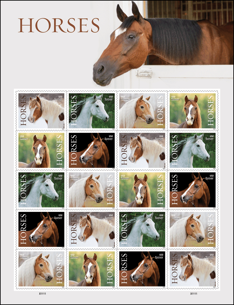Horses USPS Forever Postage Stamp 2 Books of 20 US First Class Sports ...