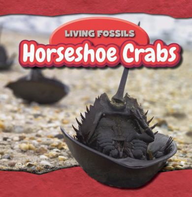 Pre-Owned Horseshoe Crabs (Library Binding) 1477758224 9781477758229 - Walmart.com