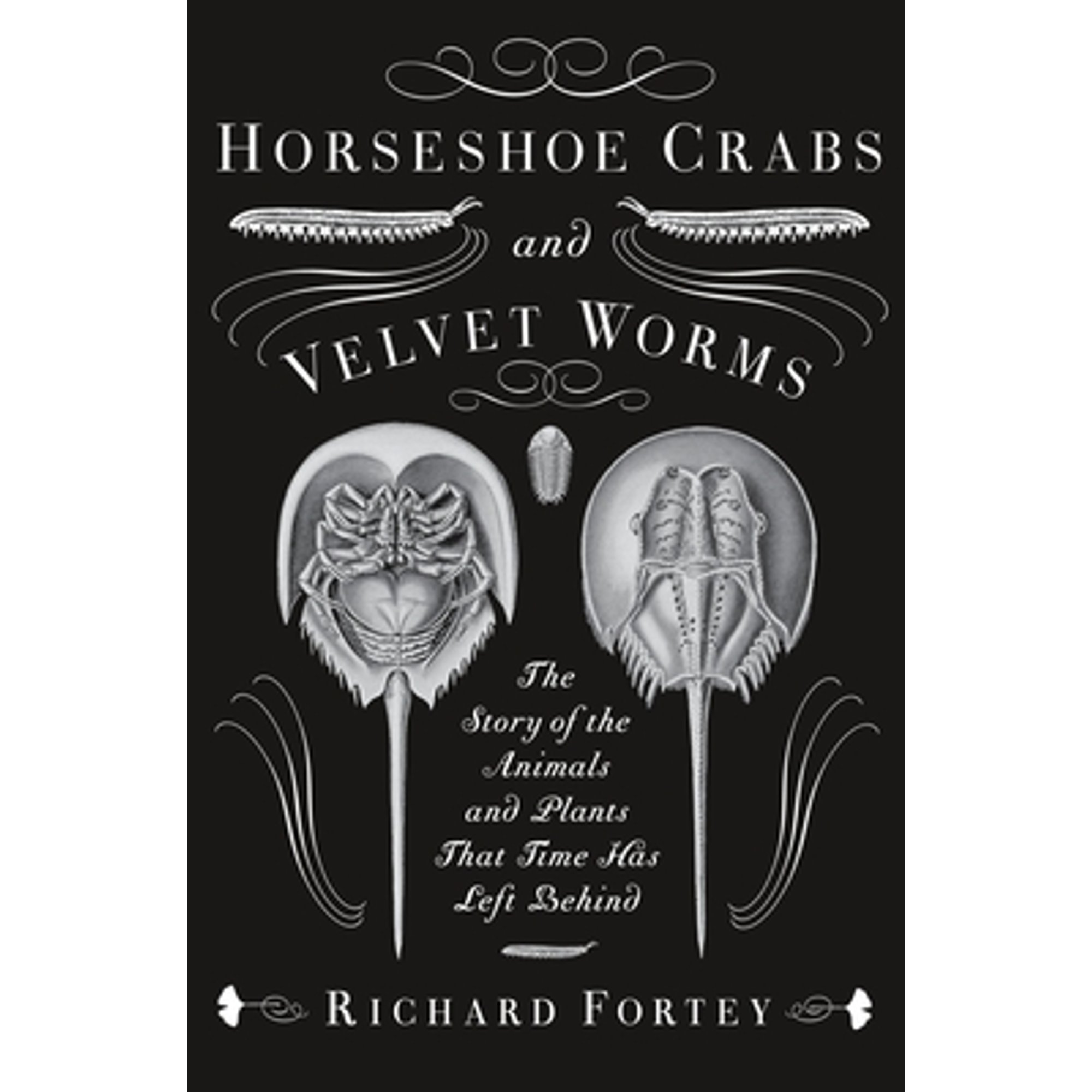 Pre-Owned Horseshoe Crabs and Velvet Worms: The Story of the Animals and Plants That Time Has ...