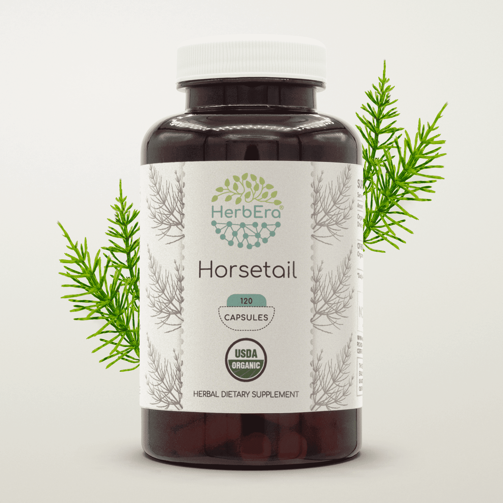 HerbEra Horsetail Capsules, Organic Herbal Dietary Supplement for ...
