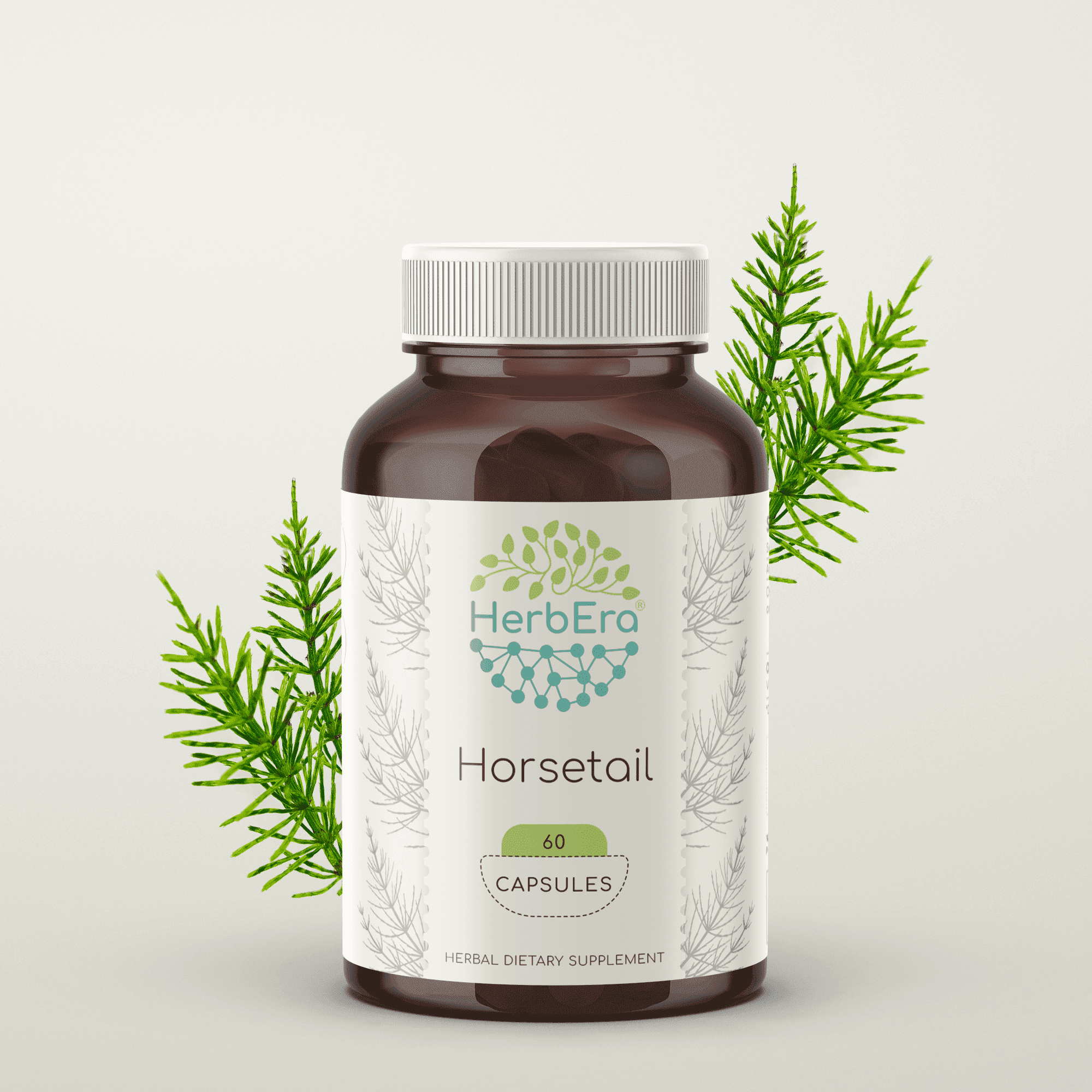 HerbEra Horsetail Capsules, Herbal Dietary Supplement for Urinary Tract ...