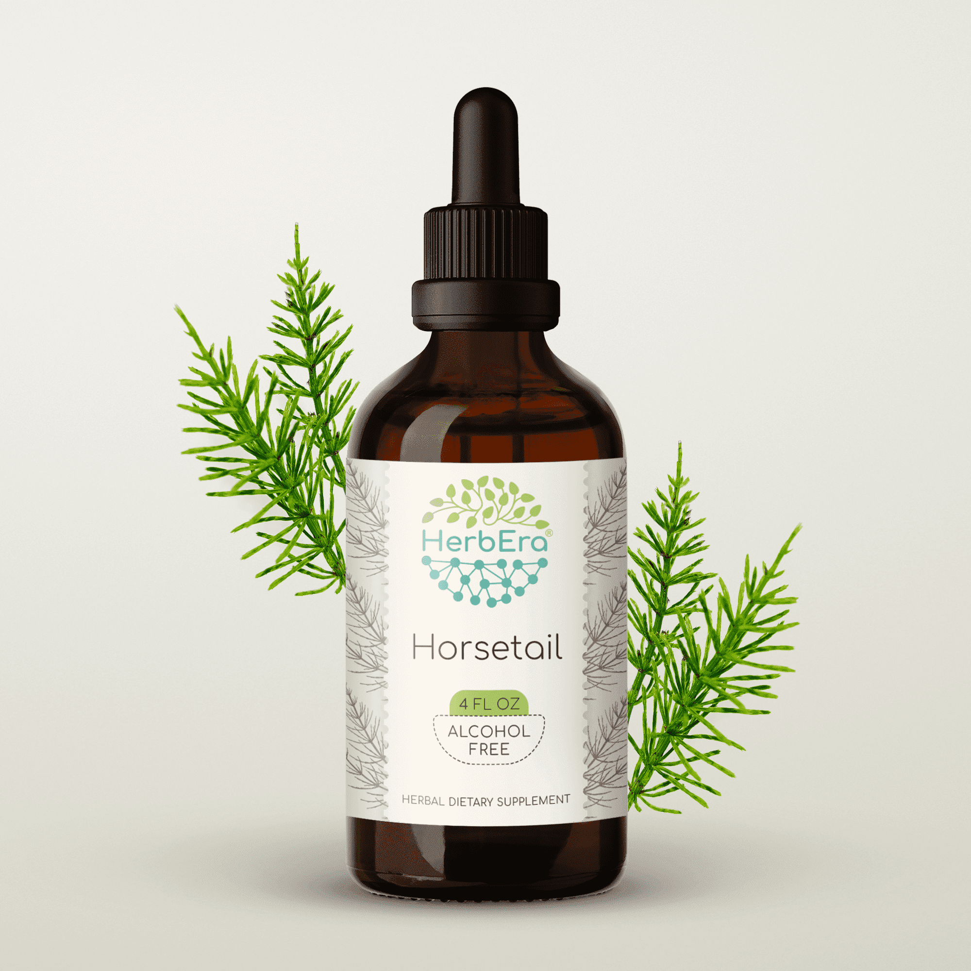 HerbEra Horsetail Tincture, Herbal Dietary Supplement for Urinary Tract ...