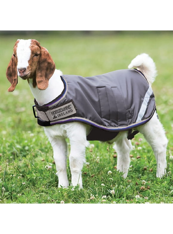 Goat Cheese in Cheese - Walmart.com