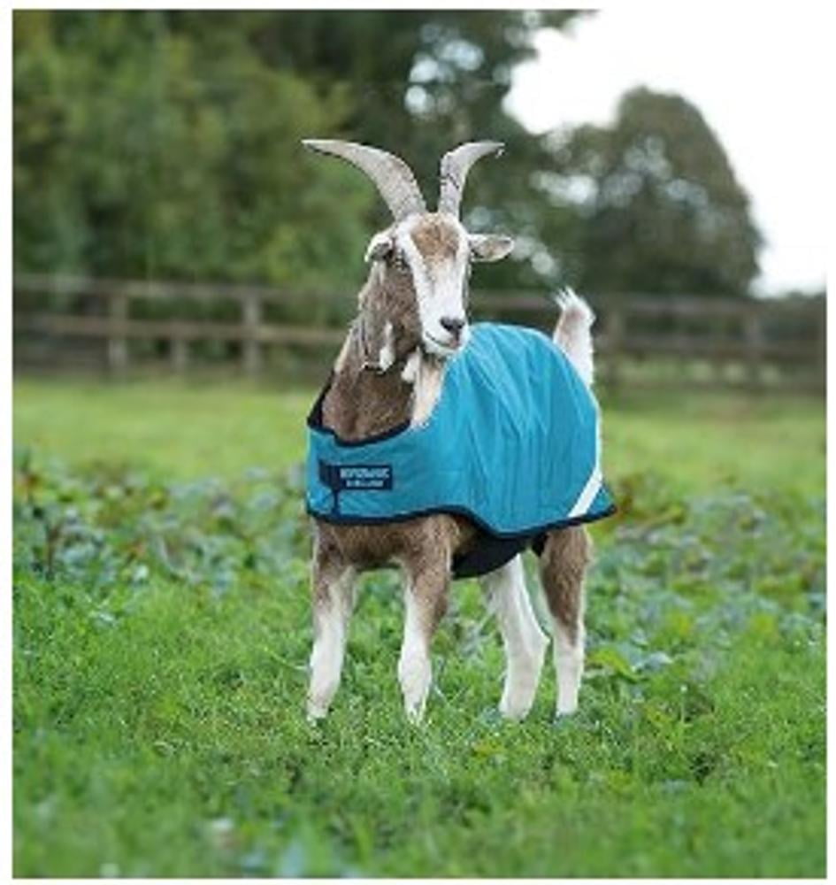 Horseware Ireland RAHG2F Horseware Goat Coat 100g Delphiniumblue/Navy ...