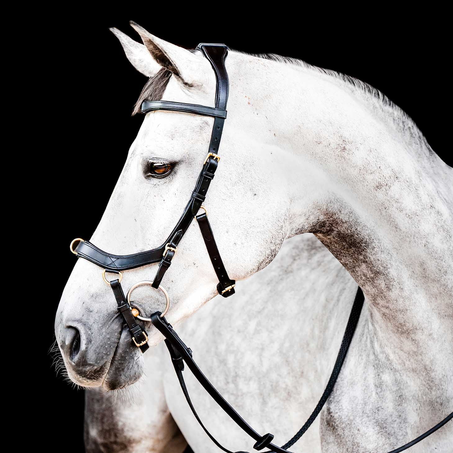 Horseware Micklem 2 Multi Bridle Horse Black - Walmart.com