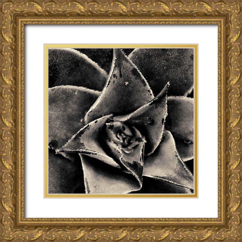 Horsfall, Gary 20x20 Gold Ornate Wood Framed with Double Matting Museum ...