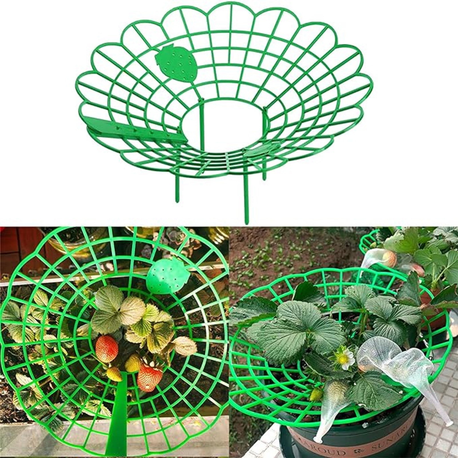 Horticultural Potted Plant Racks Planting Racks Sunflower Racks Potting ...