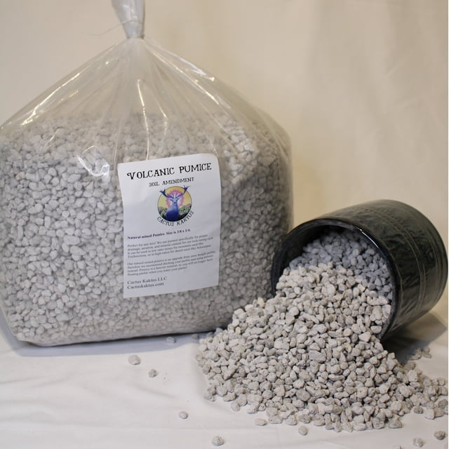 Horticultural Pumice (14 Dry Quarts), Volcanic Soil Amendment for ...