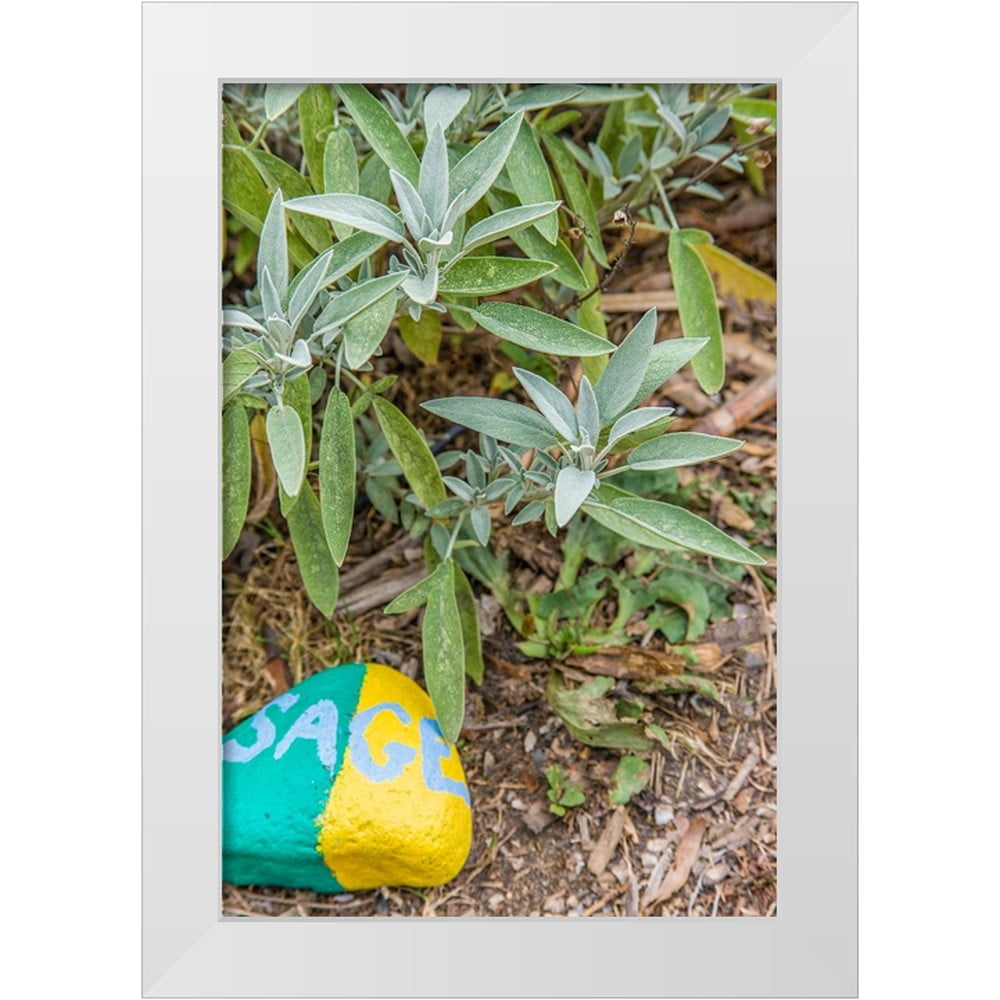 Horton, Janet 11x14 White Modern Wood Framed Museum Art Print Titled ...