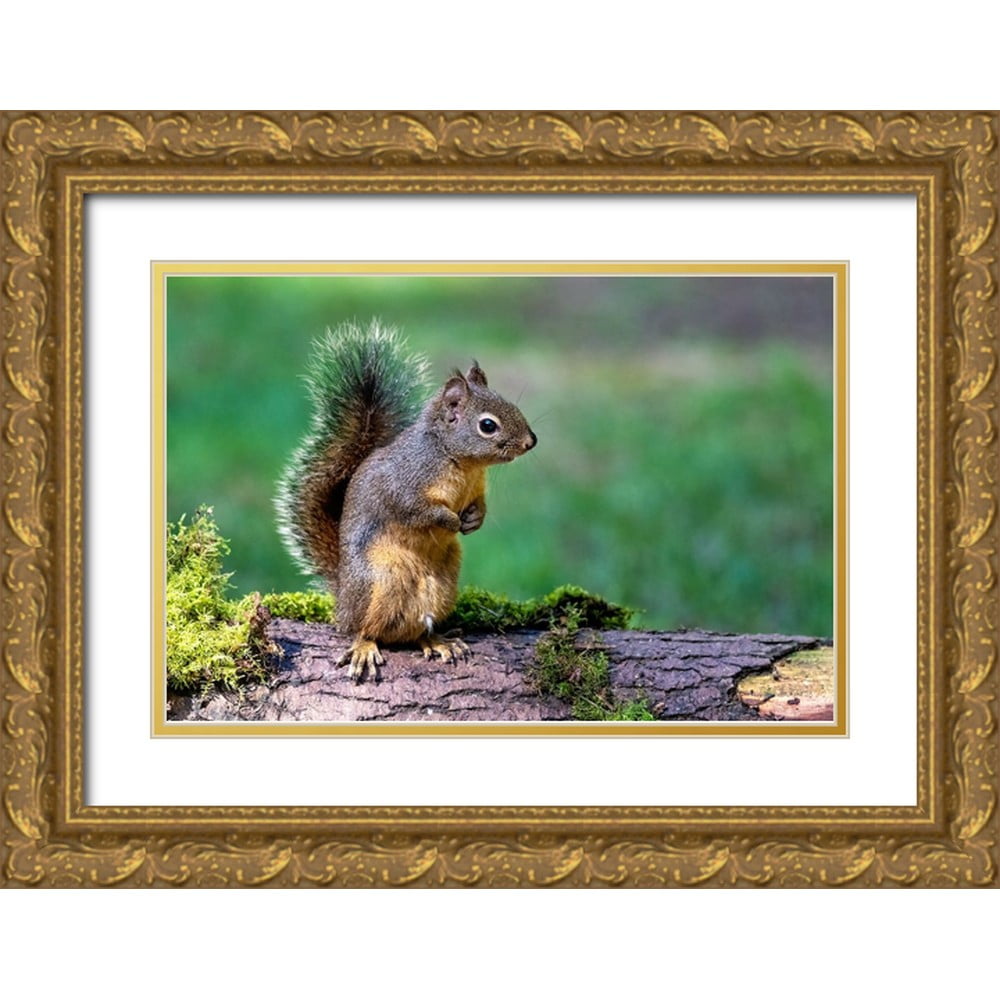 Horton, Janet 14x11 Gold Ornate Wood Framed with Double Matting Museum ...