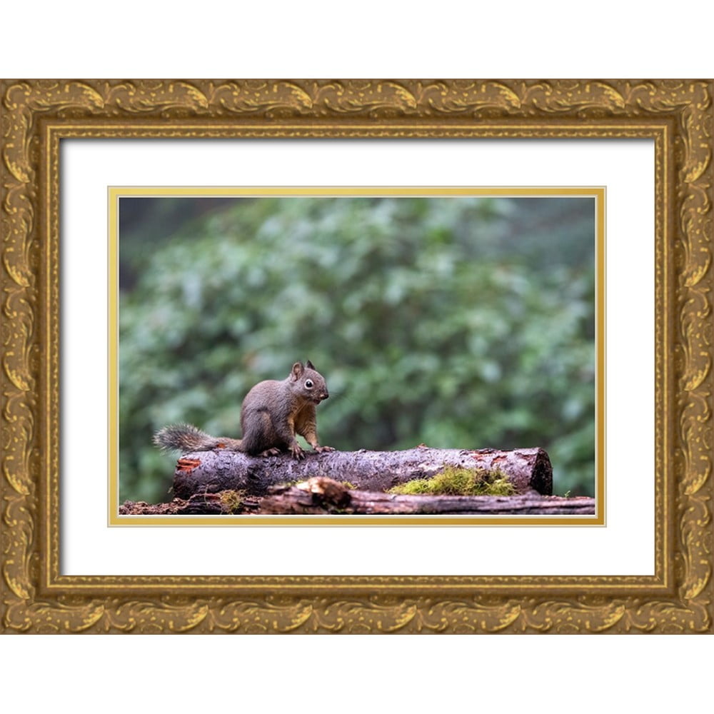 Horton, Janet 14x11 Gold Ornate Wood Framed with Double Matting Museum ...