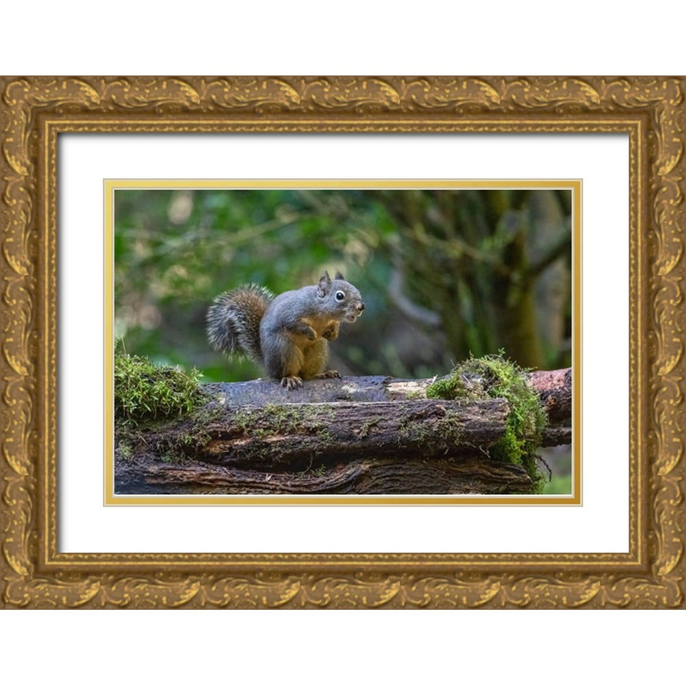 Horton, Janet 14x11 Gold Ornate Wood Framed with Double Matting Museum ...