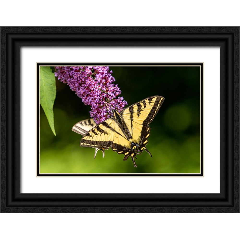 Horton, Janet 18x13 Black Ornate Wood Framed with Double Matting Museum ...