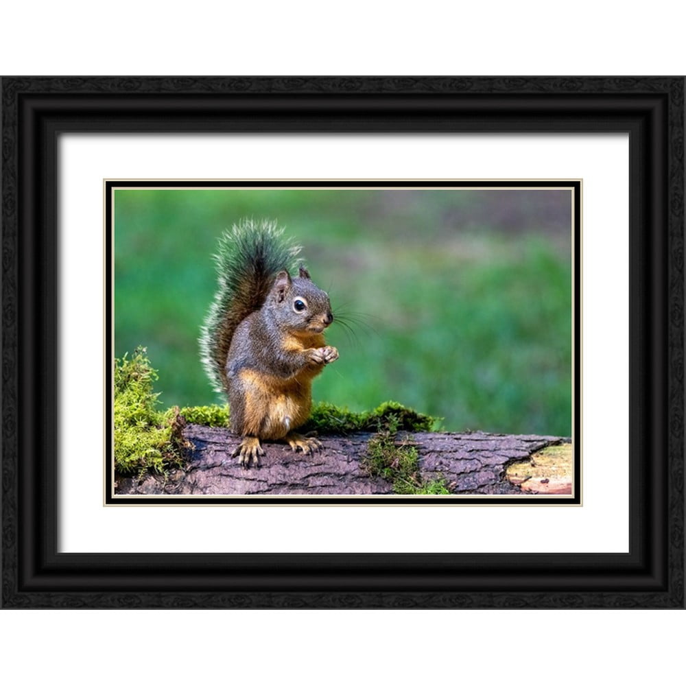 Horton, Janet 18x13 Black Ornate Wood Framed with Double Matting Museum ...