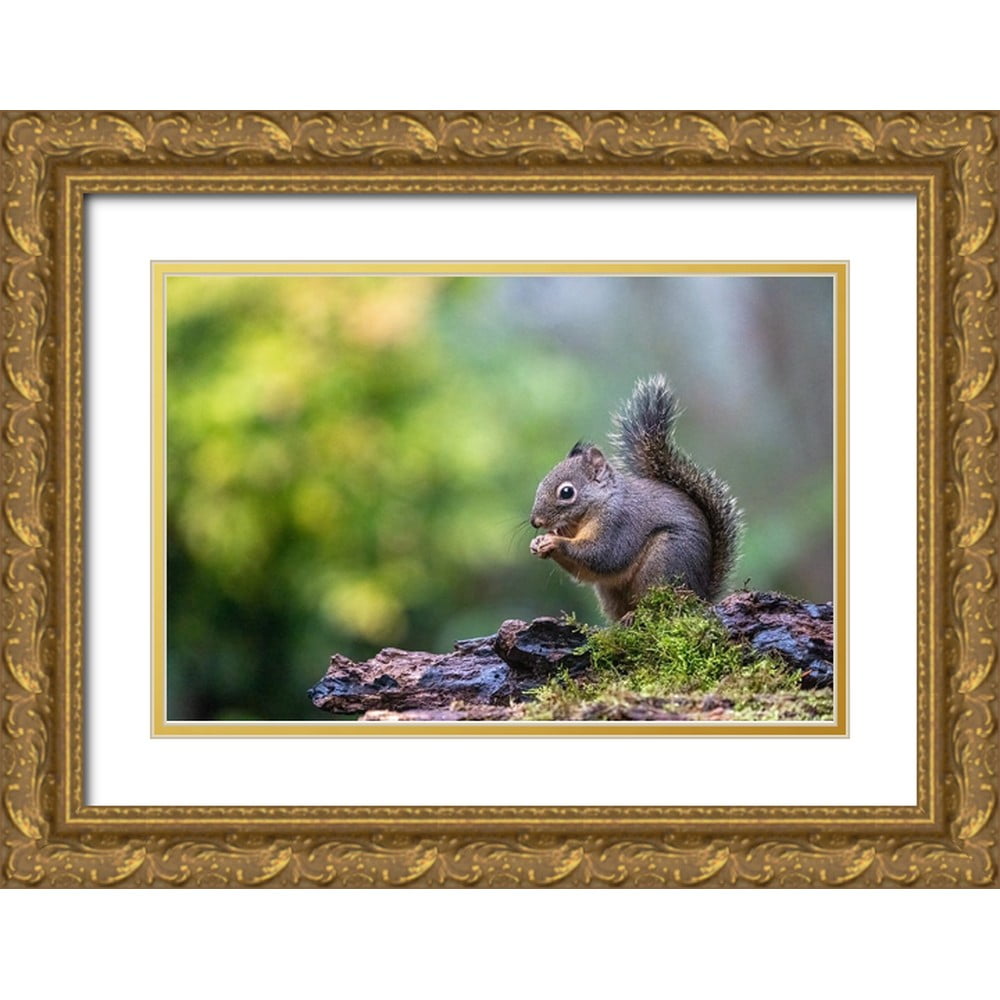 Horton, Janet 18x13 Gold Ornate Wood Framed with Double Matting Museum ...