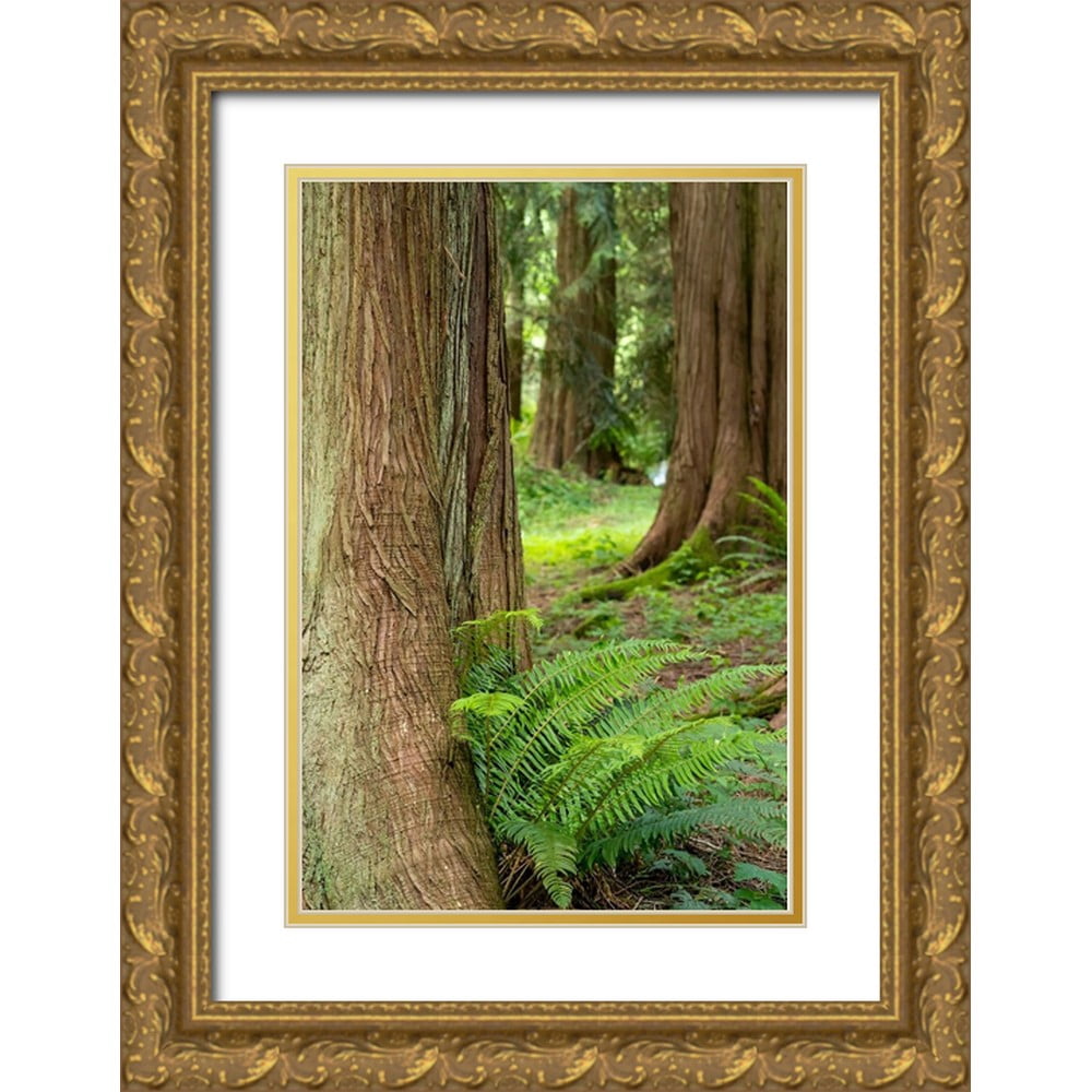 Horton, Janet 23x32 Gold Ornate Wood Framed with Double Matting Museum ...