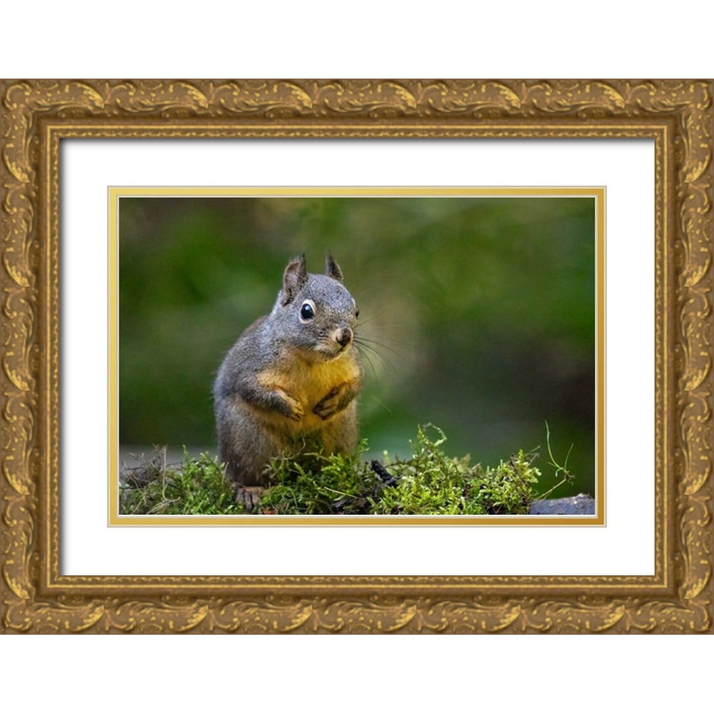 Horton, Janet 32x23 Gold Ornate Wood Framed with Double Matting Museum ...