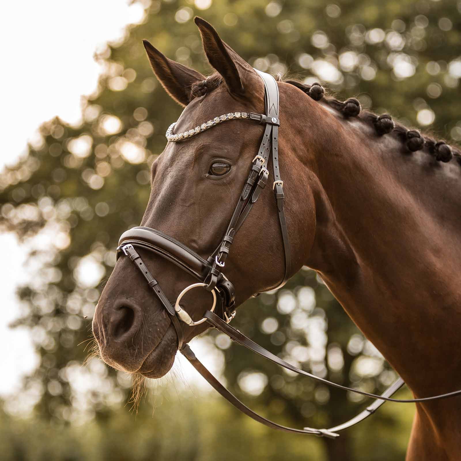 Horze Ergonomic Snaffle Bridle with Curved Crystal Browband - Walmart.com