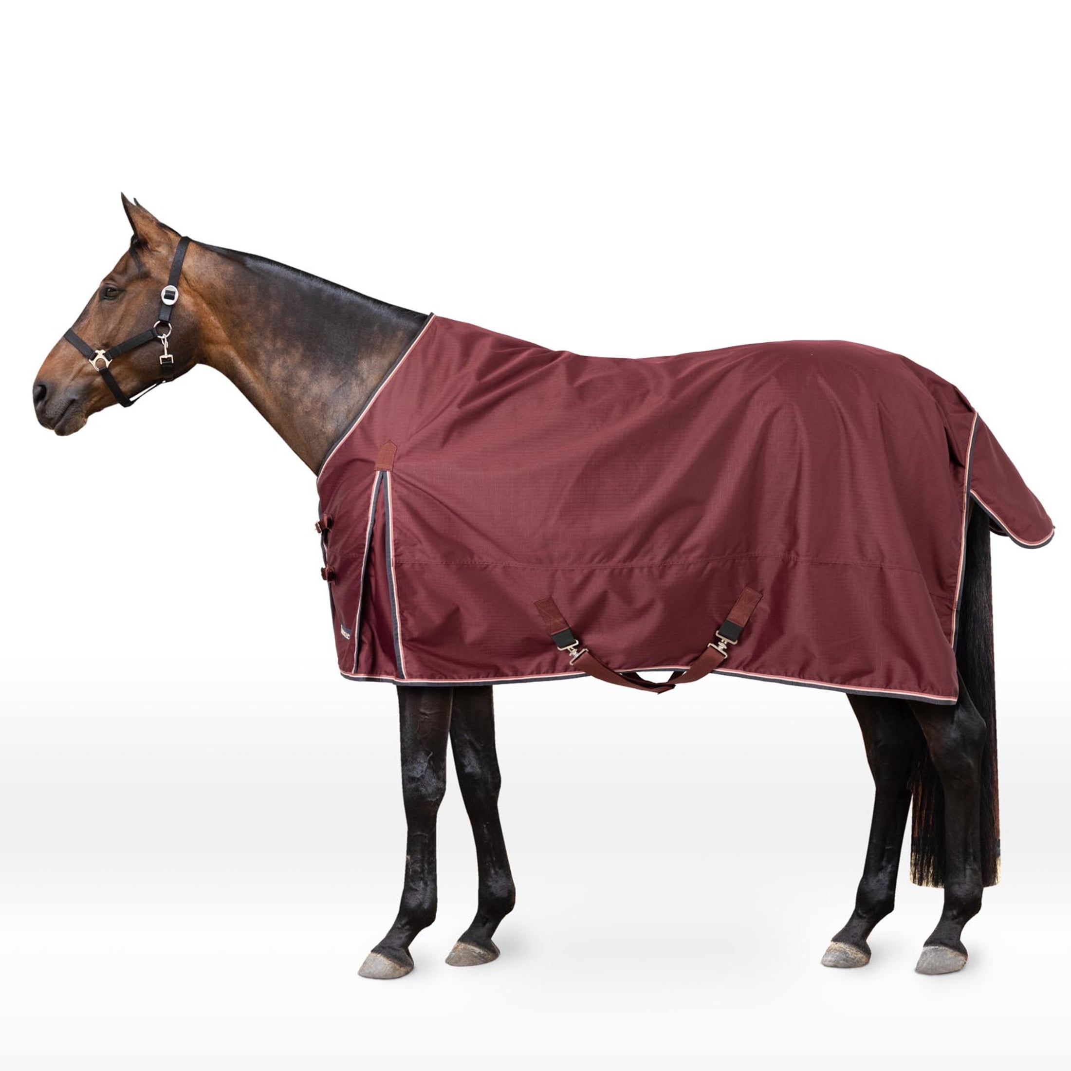 Horze Glasgow Light Weight Waterproof Turnout Horse Sheet (No Fill ...