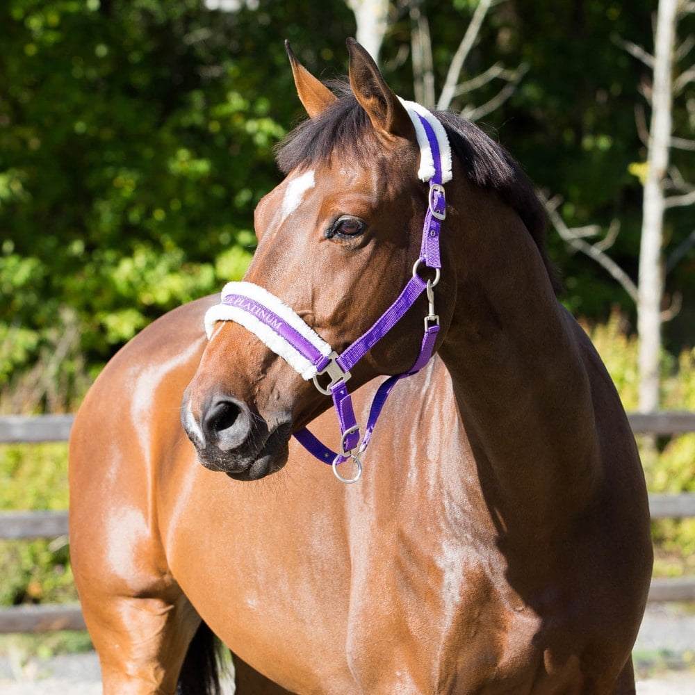 Horze Howard Soft Fleece Padded Adjustable Polyester Horse Halter ...