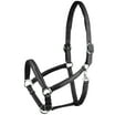 Rambo Micklem Leather Halter Standard Black - Walmart.com