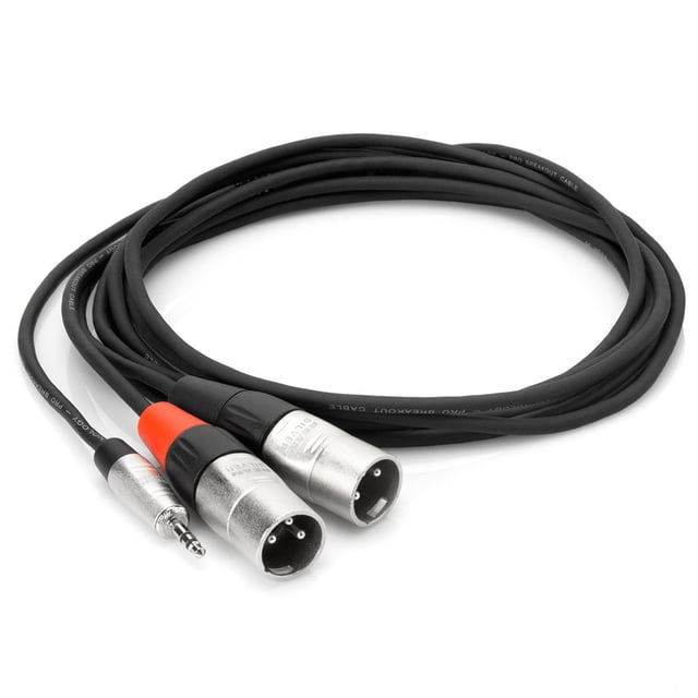 Hosa Technology 3' REAN 3.5mm TRS to Dual XLR3M 24 AWG Pro Stereo ...
