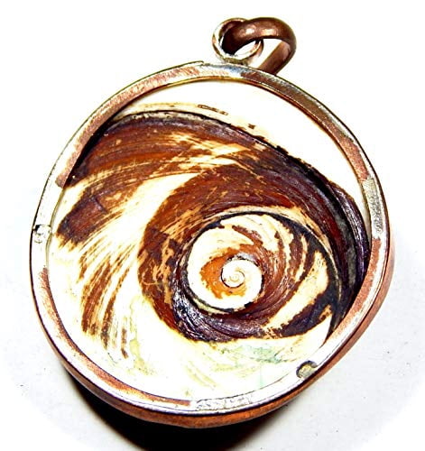 Hoseki Big Size Gomti Chakra Gomti Shila 1pcs - Walmart.com