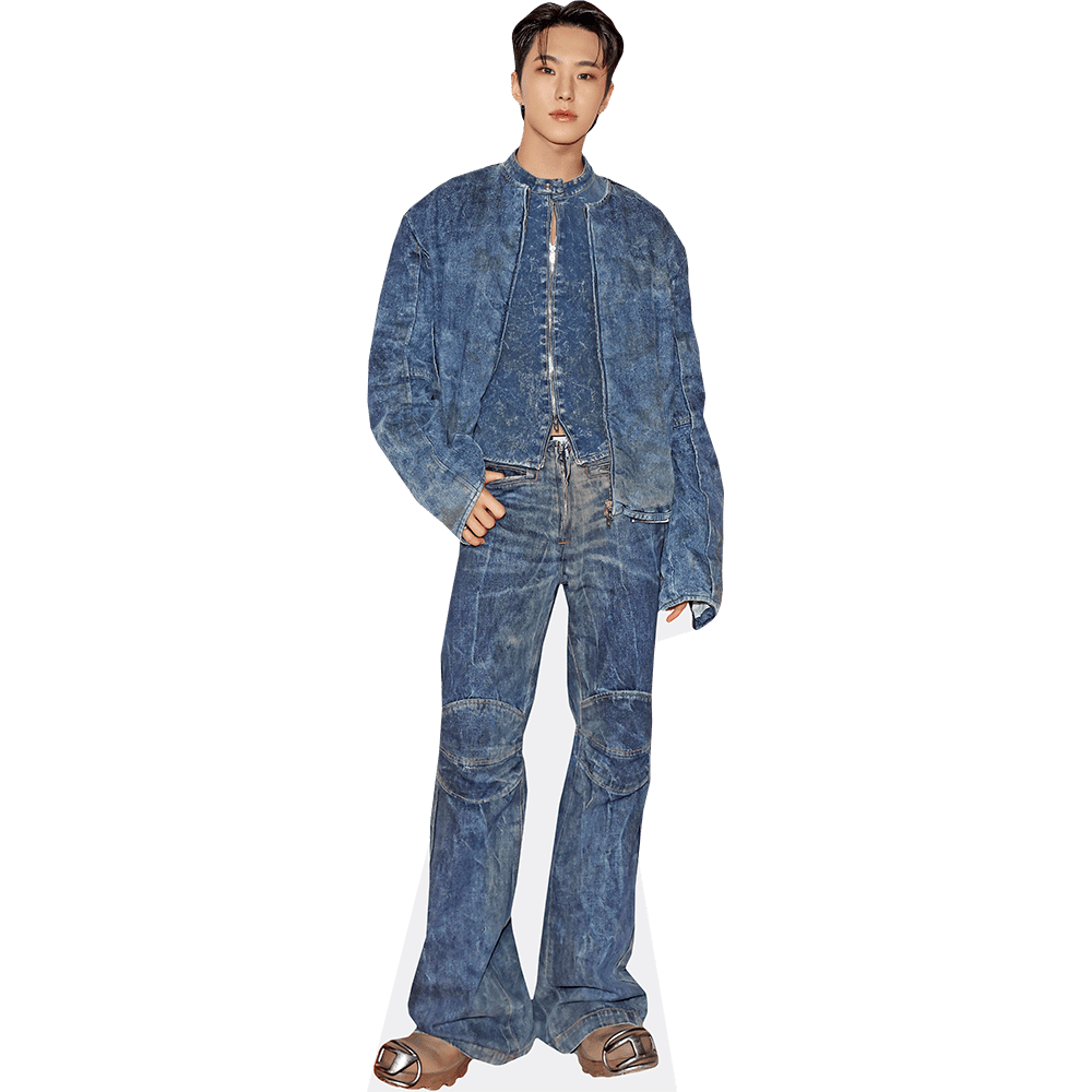 Hoshi (Denim) Mini Size Cutout. Standee. - Walmart Business Supplies