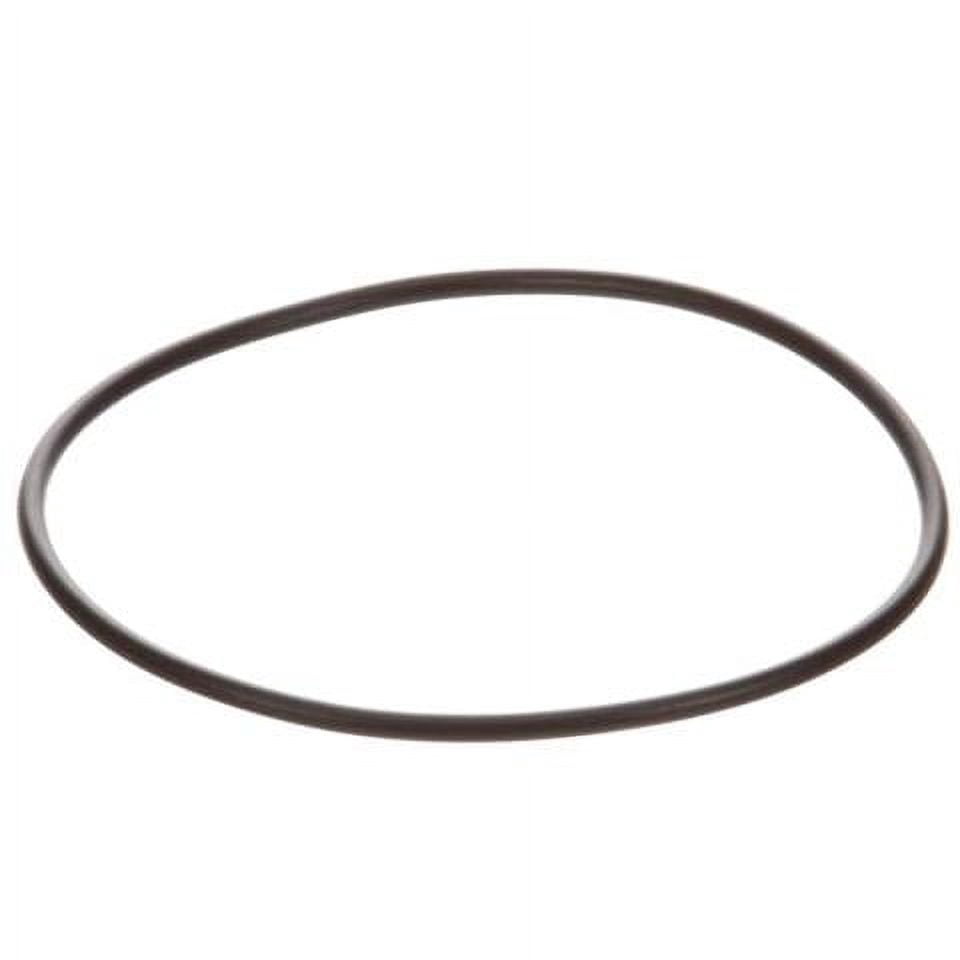 Hoshizaki 4A4755-04 JIS G90 O-Ring - Walmart.com