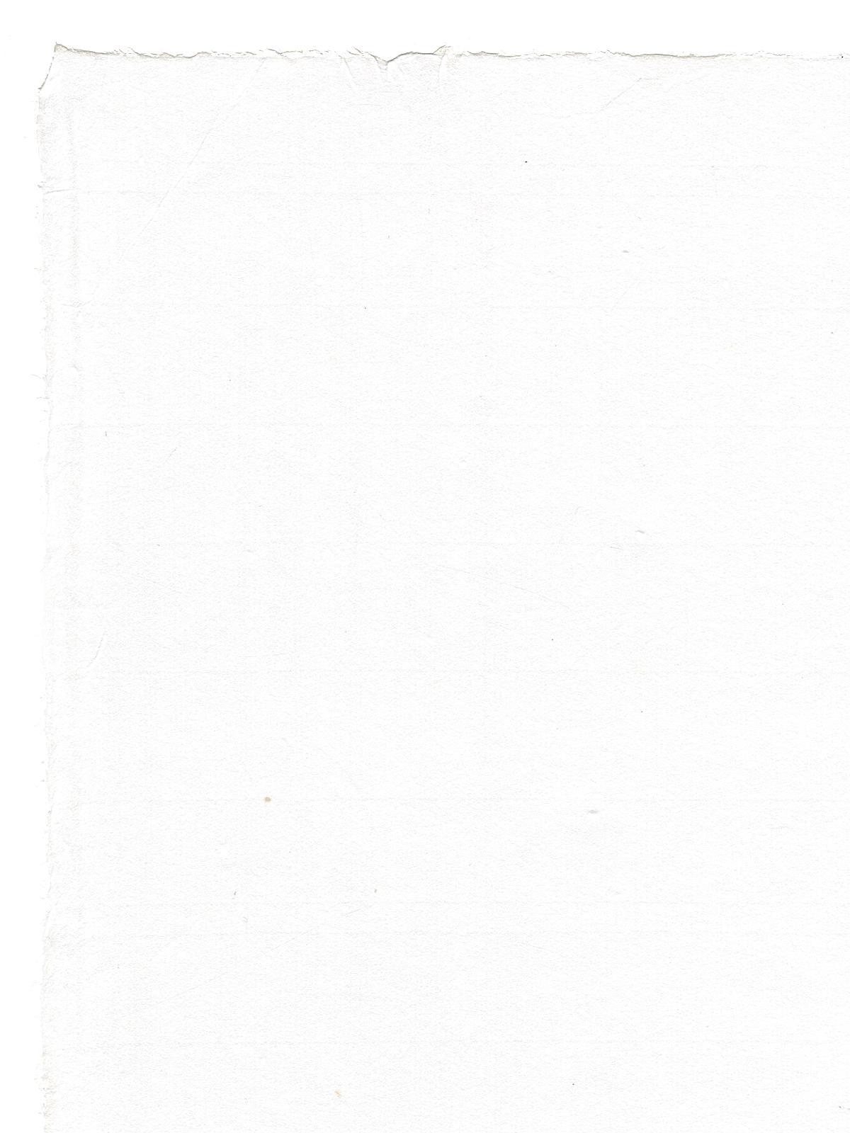 Hosho Printmaking Paper 17 in. x 22 in., sheet, student grade (pack of ...