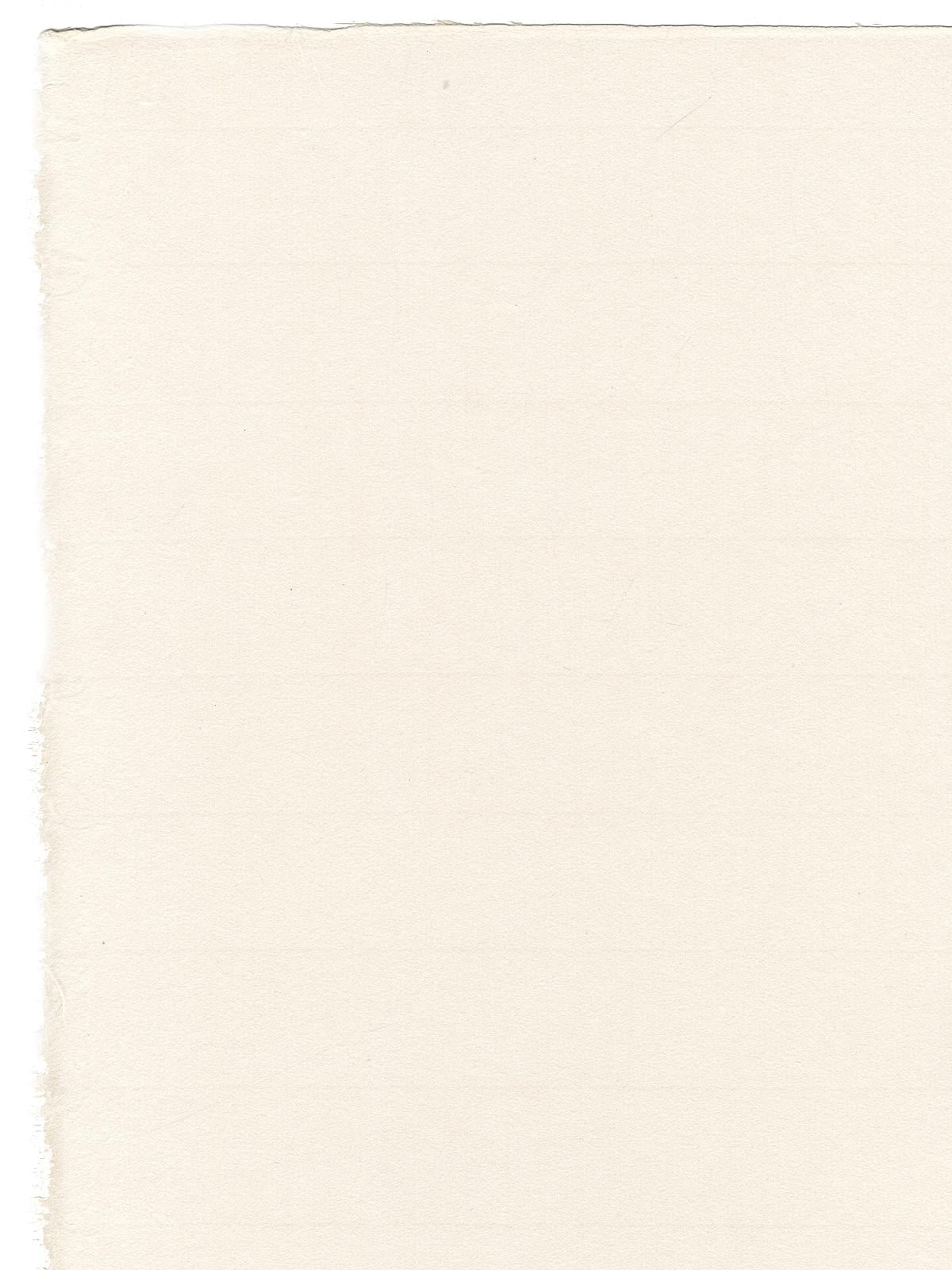 Hosho Printmaking Paper 19 in. x 24 in., sheet, professional grade ...