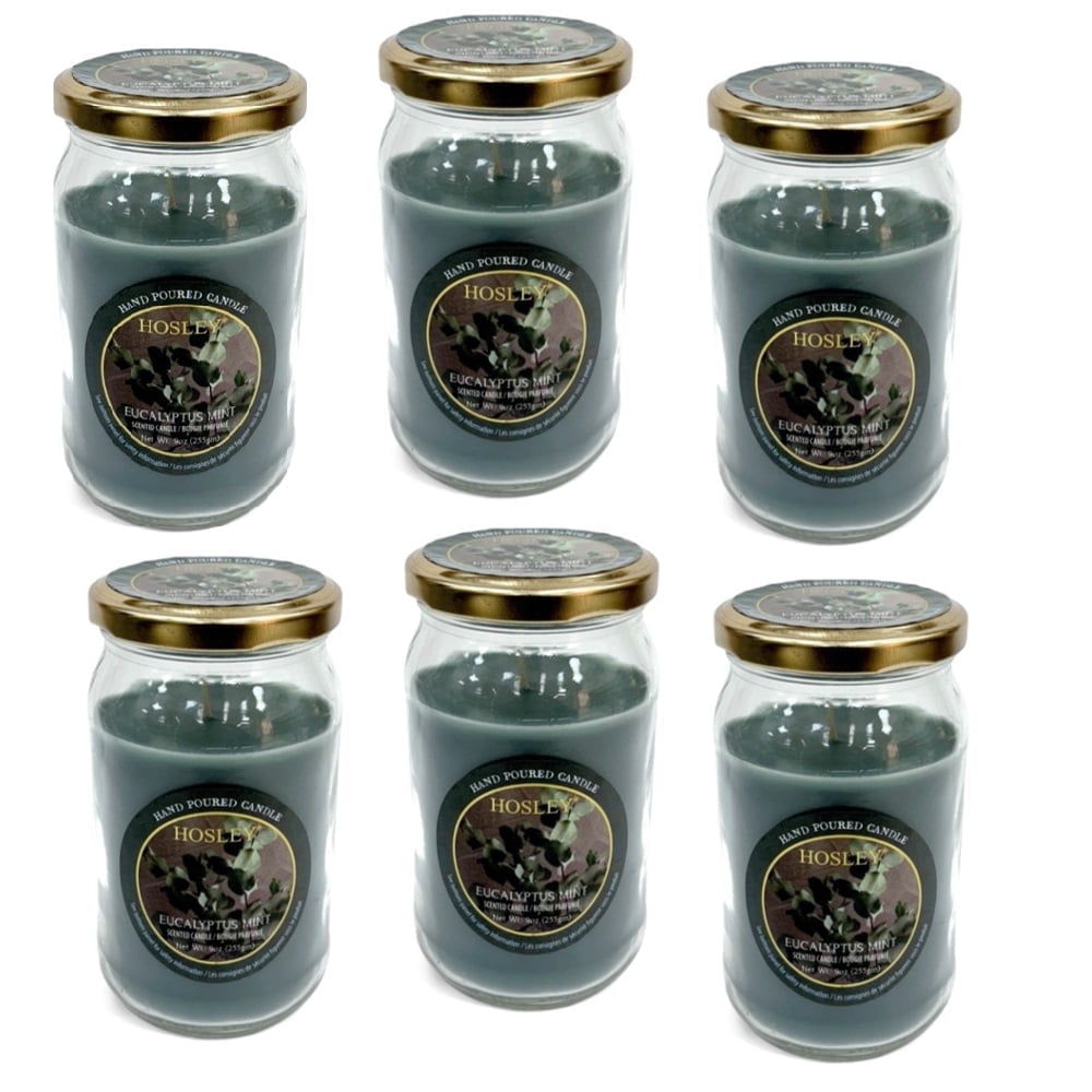 Hosley 9OZ Fragrance Jar Candle Set of 6- Eucalyptus Mint. Ideal Gift ...