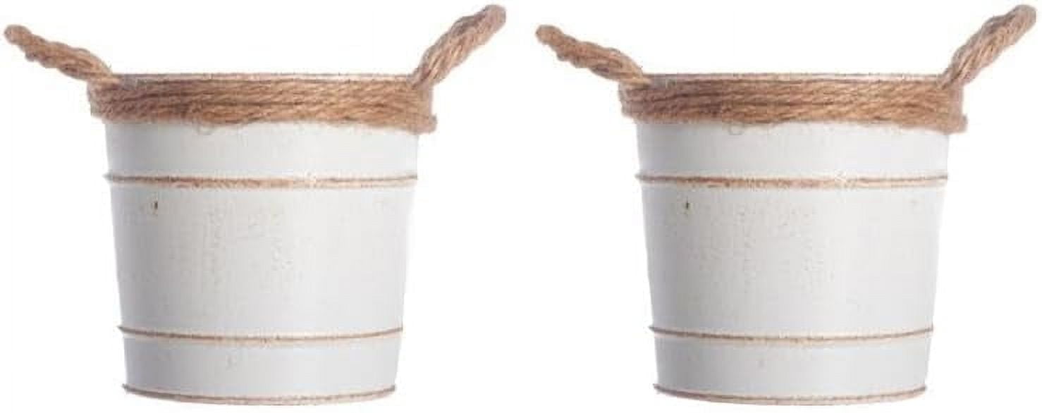 Hosley Set of 2 Whitewashed Metal Pail Planters with Jute Handles – 3. ...