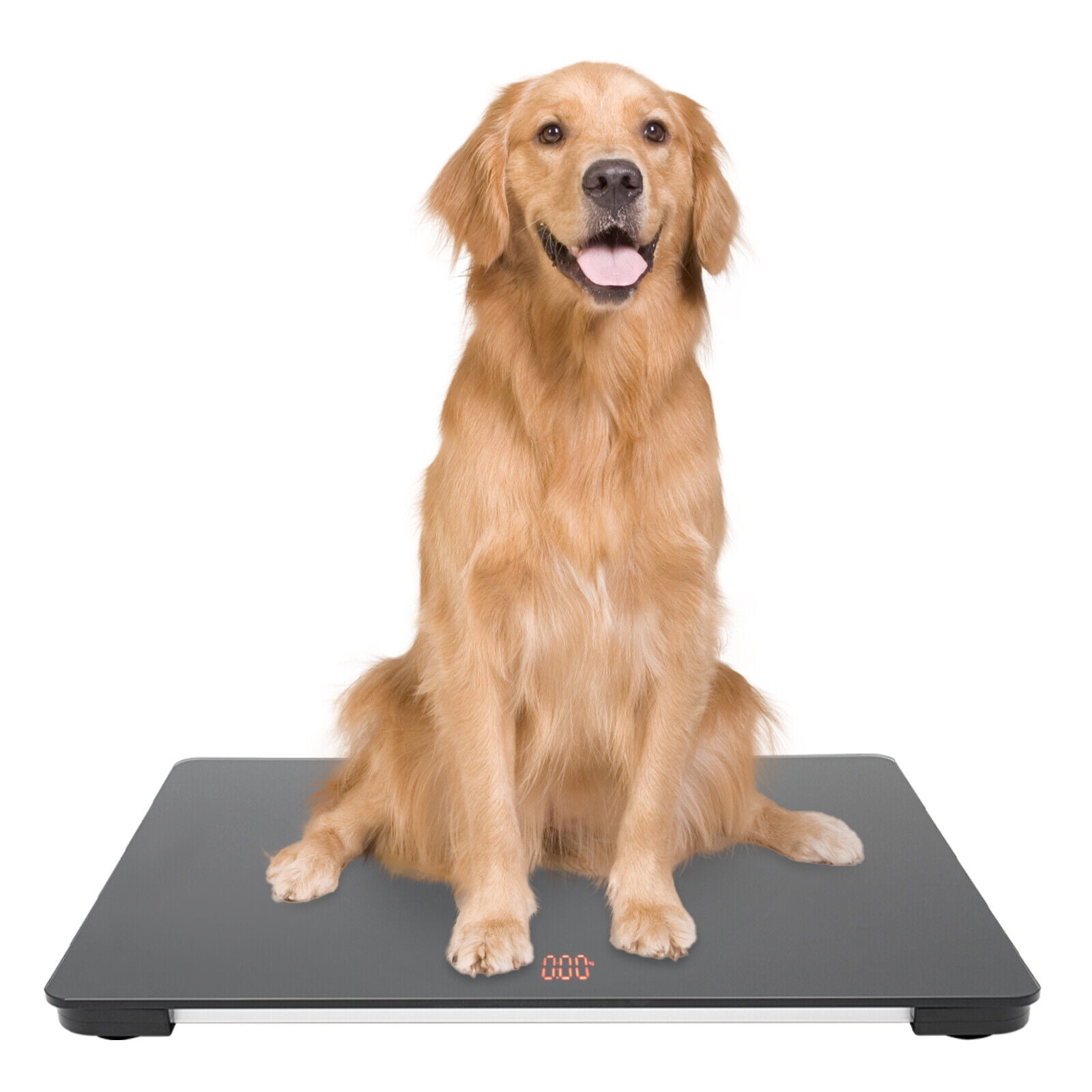 Hospital Pet Store Scale Large Dog Weighing Scale 100KG LCD Scale High ...