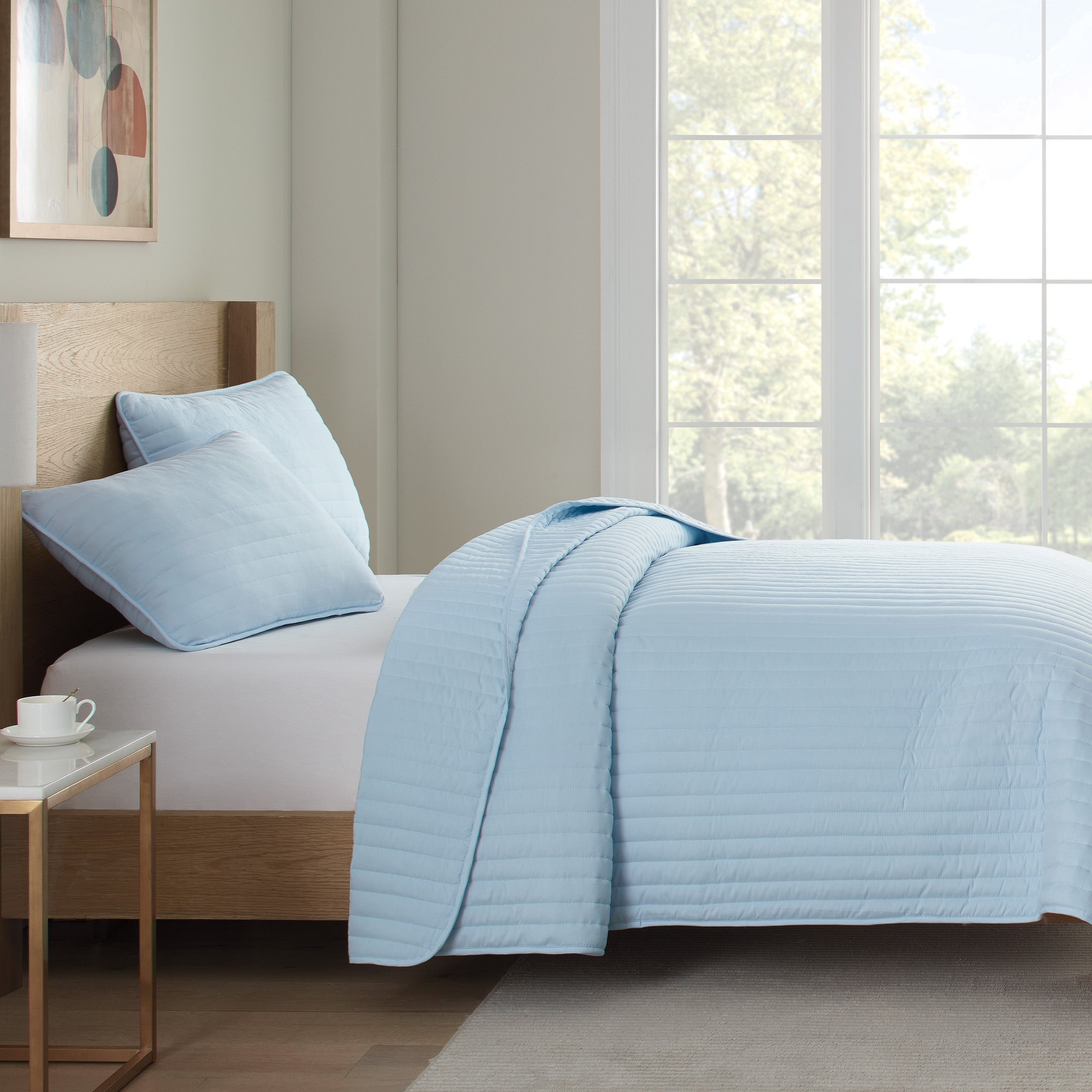 Host & Home Microfiber Quilt Set, Cozy Brushed Microfiber with 120GSM ...