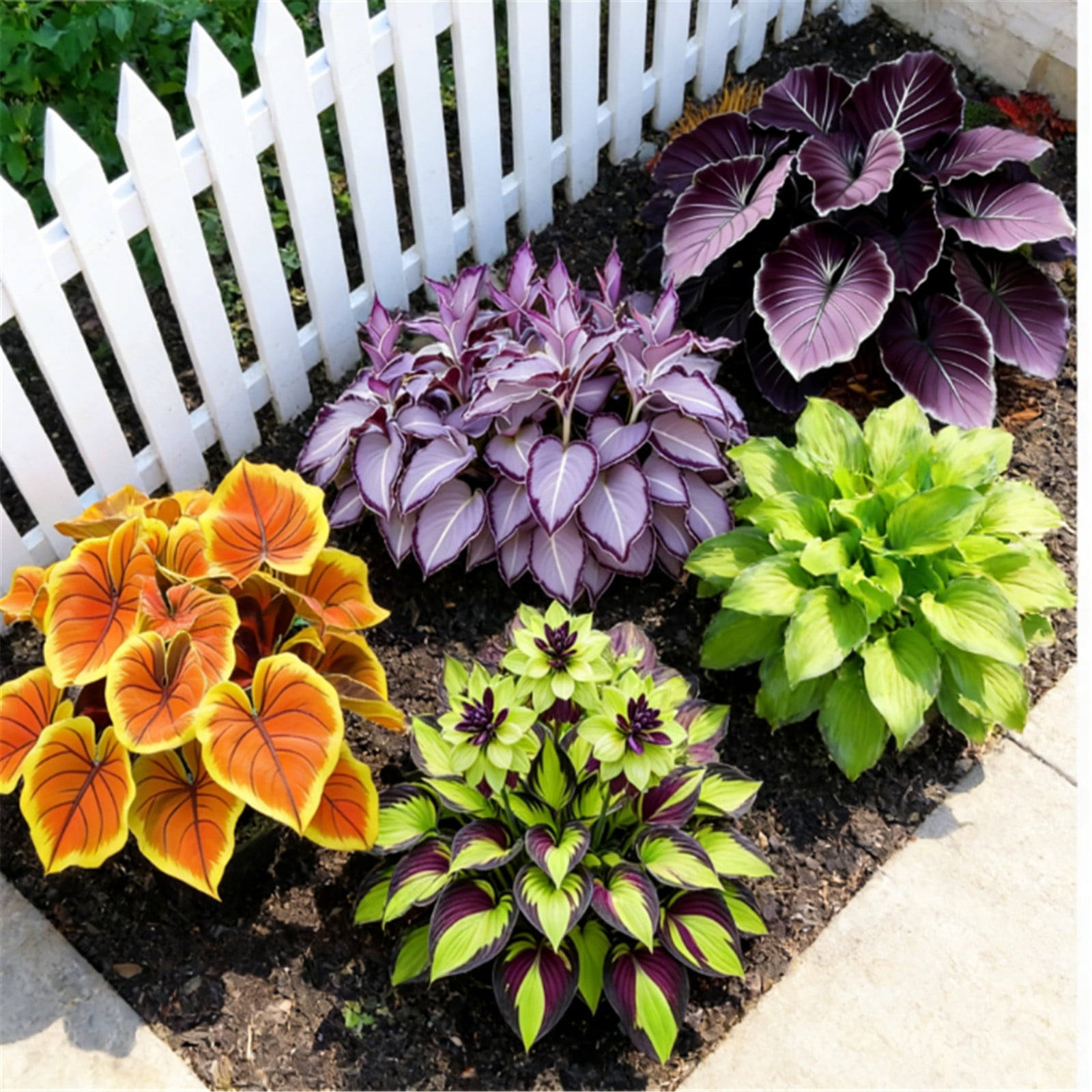 Hosta-Blooms Every Year-Premium Garden Stakes -Fast-Growing Bulbs ...
