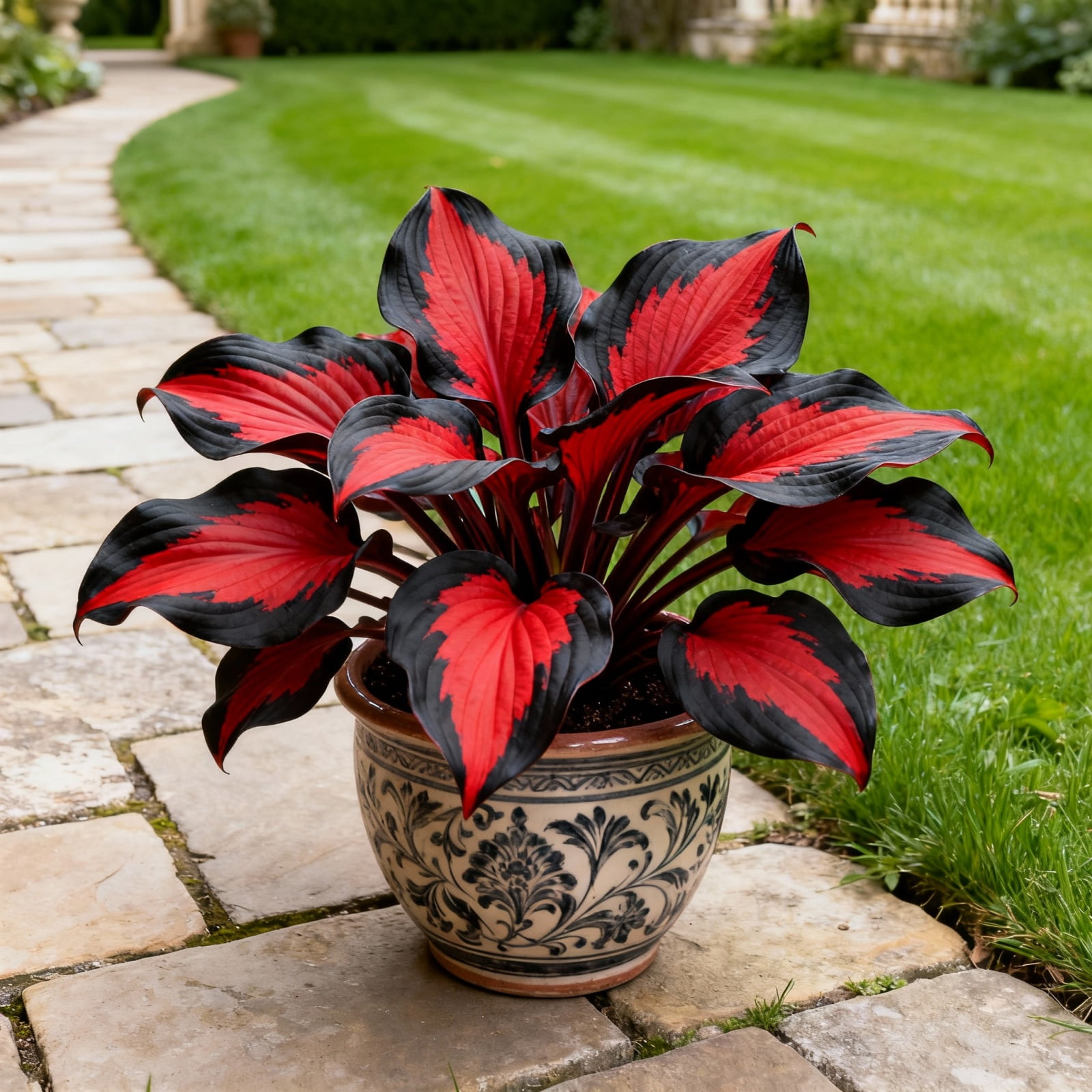 Hosta-Blooms every year-Premium Garden Stakes -Fast-Growing bulbs ...