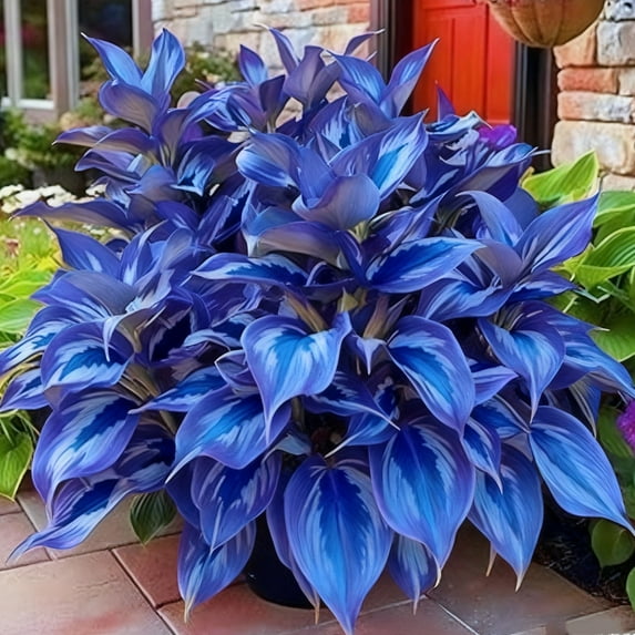 Hosta Bulb--Garden Elegance Decoration-Premium garden stakes - Walmart.com