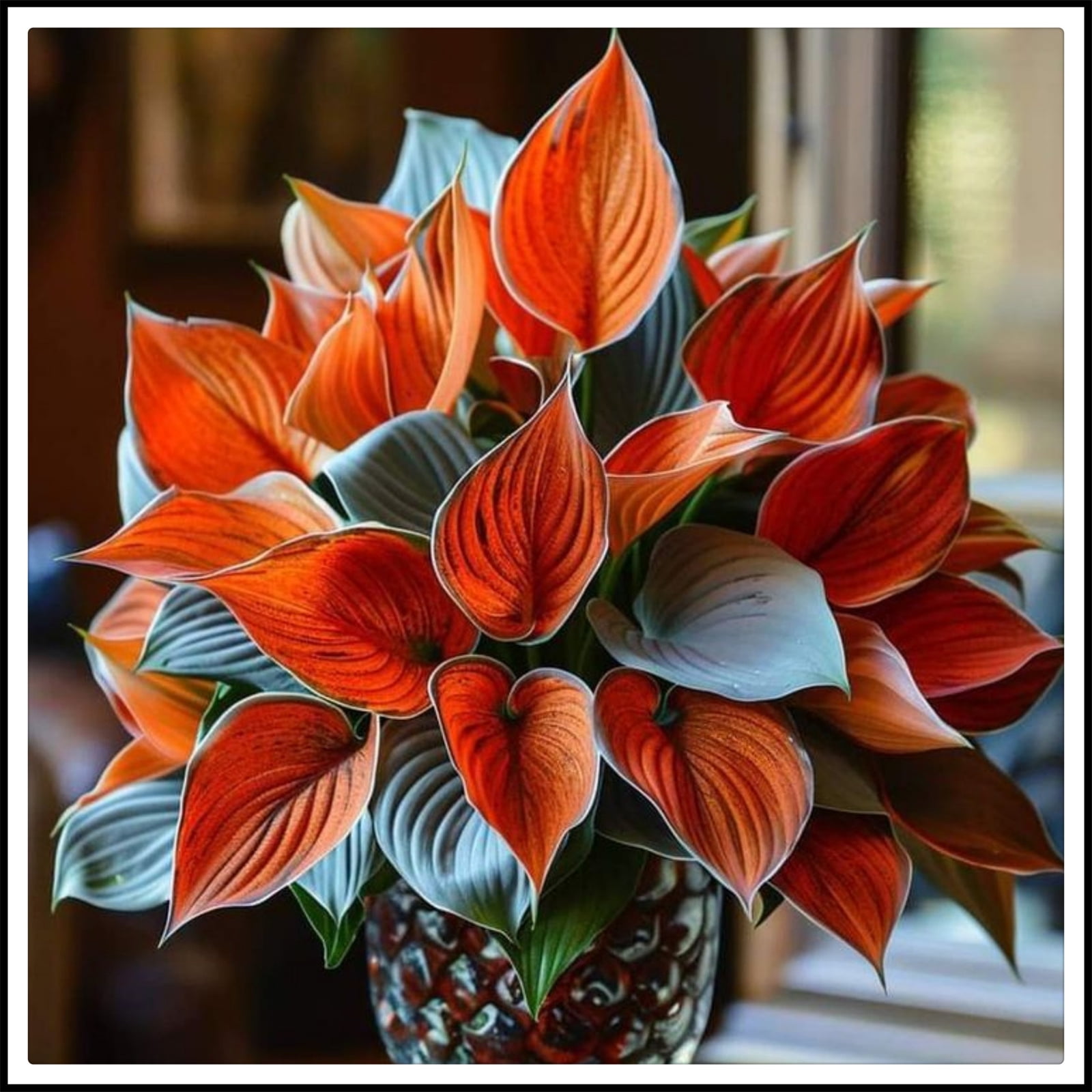 Hosta-Bulbs - For Planting - Garden Elegance Decoration - Premium ...