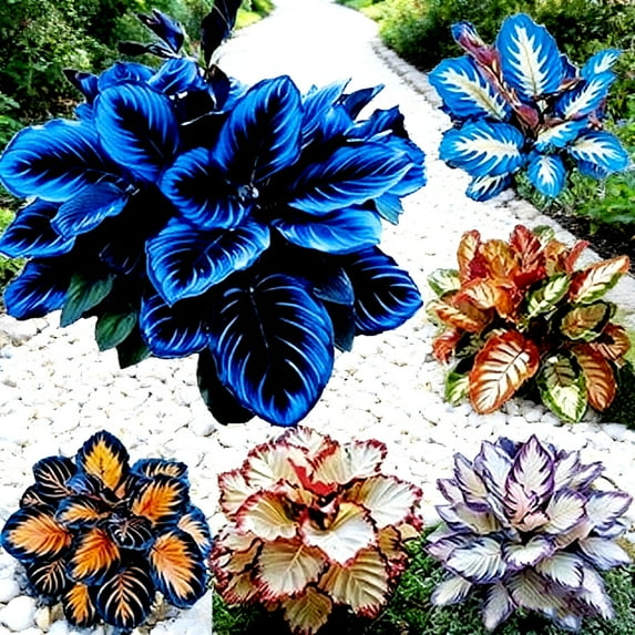 Hosta Bulbs--Garden Elegance Decoration-Premium garden stakes - Walmart.com