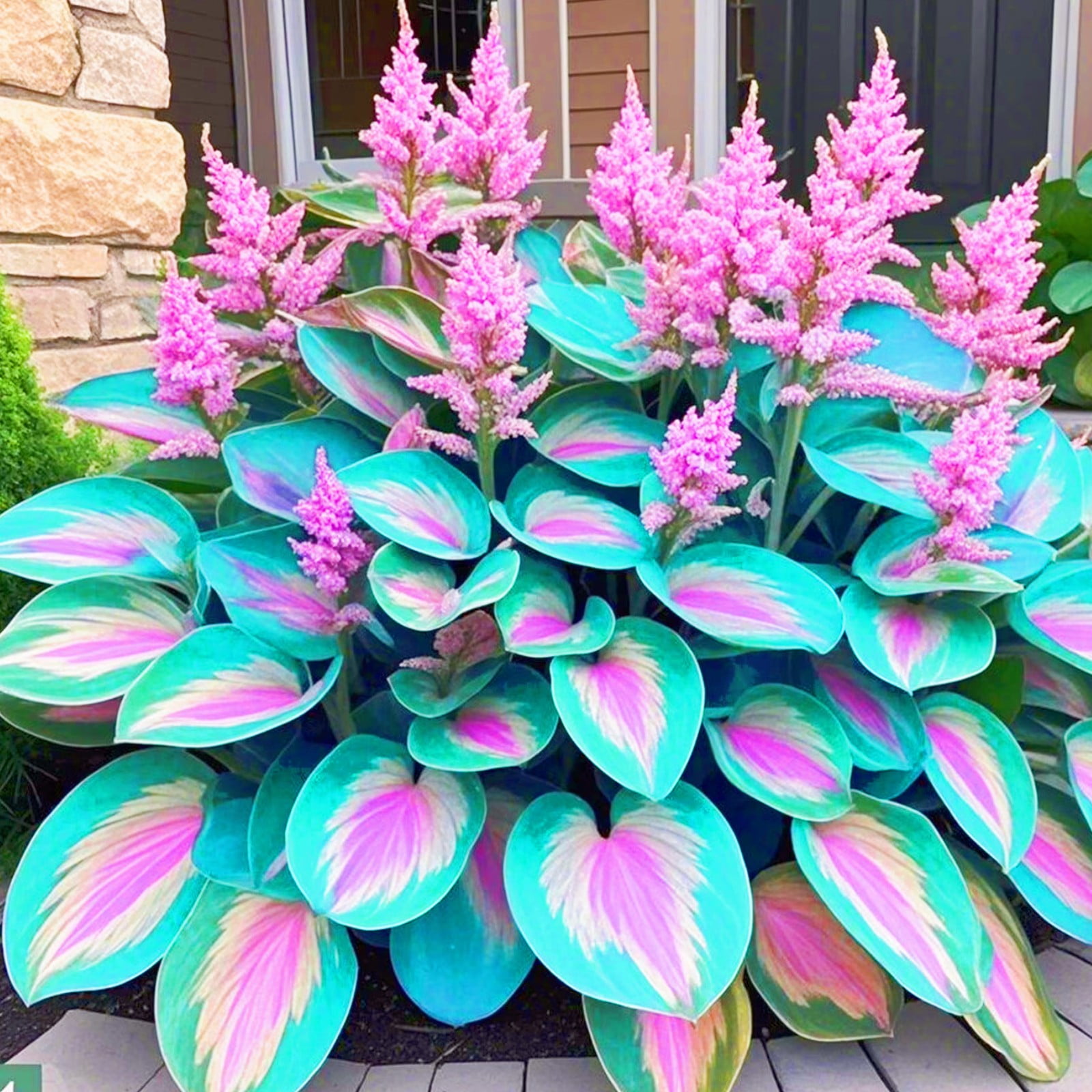 Hosta-Fast growth-Garden Stakes Planting-Beautiful Garden Decoration ...