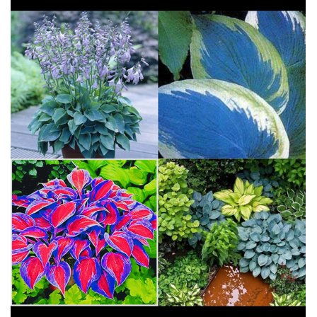 CZ Grain Mixed Hosta Perennials, 6 Pack Bare Roots, Hardy Shade Plants ...