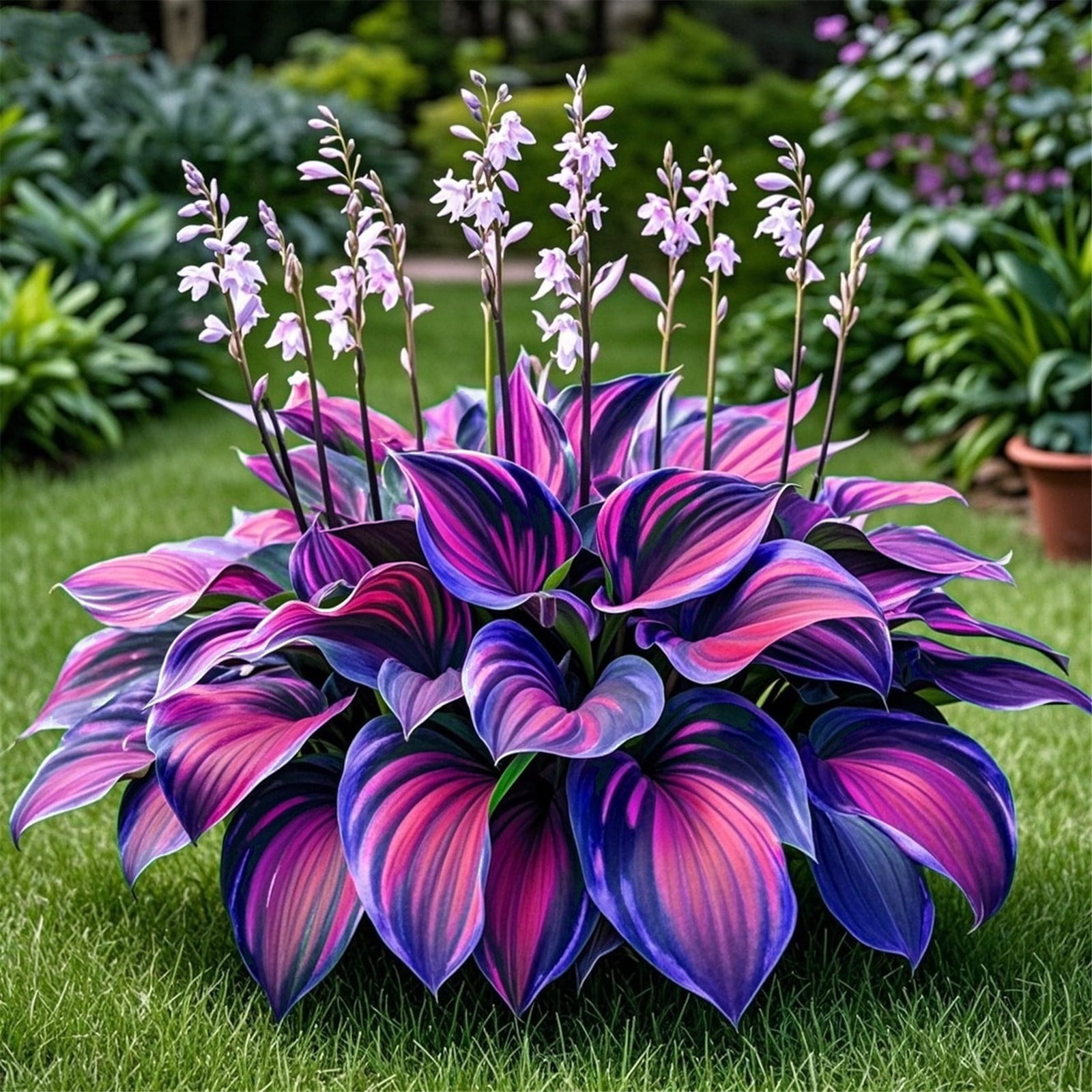 Hosta-blooms every year-Premium Garden Stakes -fast-growing bulbs ...