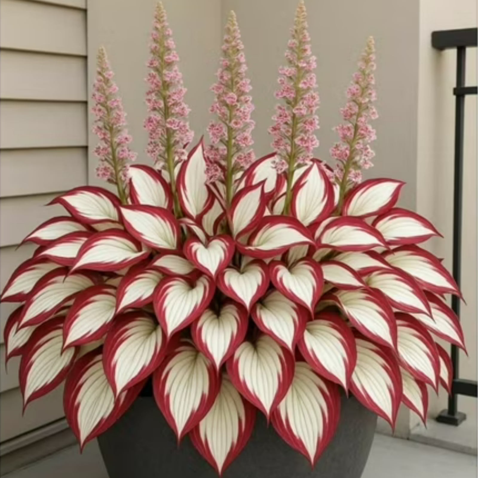 Hosta-blooms every year-Premium Garden Stakes -fast-growing bulbs ...