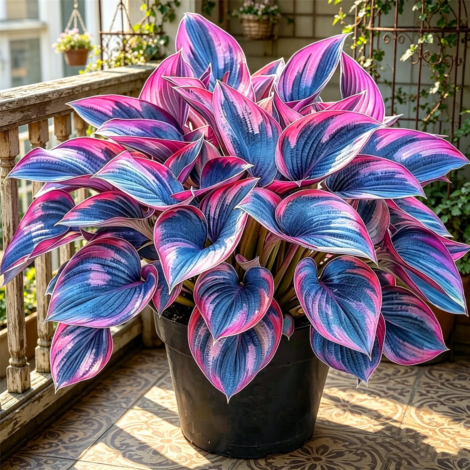 Hostas Planting-Beautiful Gift Garden-Bloom Year After Year-(Non ...