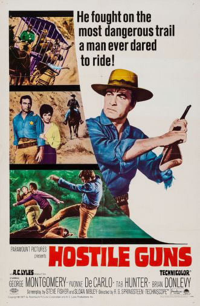 Hostile Guns Movie Poster Reprint 27inx40in for any room 27x40 Multi ...