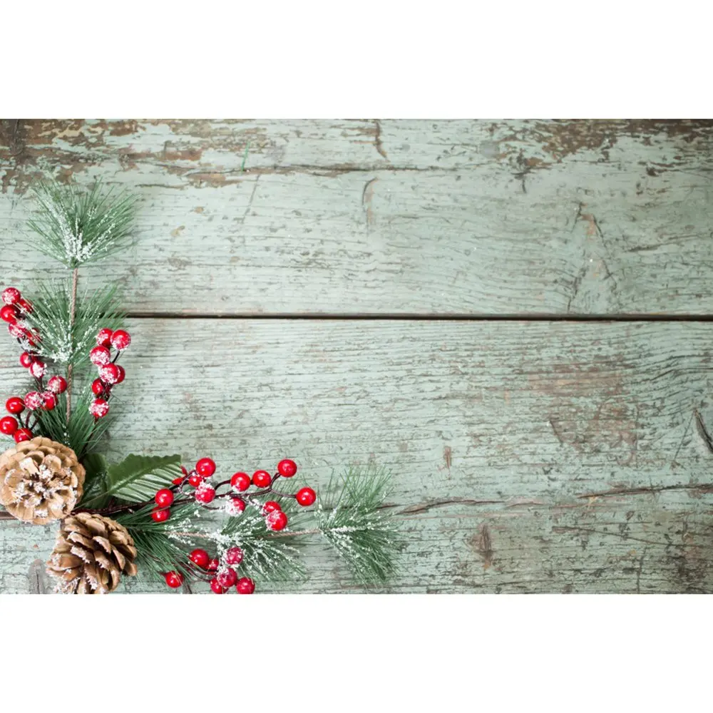 Hot Air Balloon Childr Birthday Photography Backdrop Cosmos Cactus ...